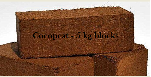 Usage of Cocopeat as plant growing media and Mulching material – SAAI ...