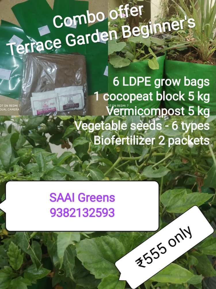 பொருட்களின் இருப்பு / SAAI Greens Product Catalogue – SAAI Academy